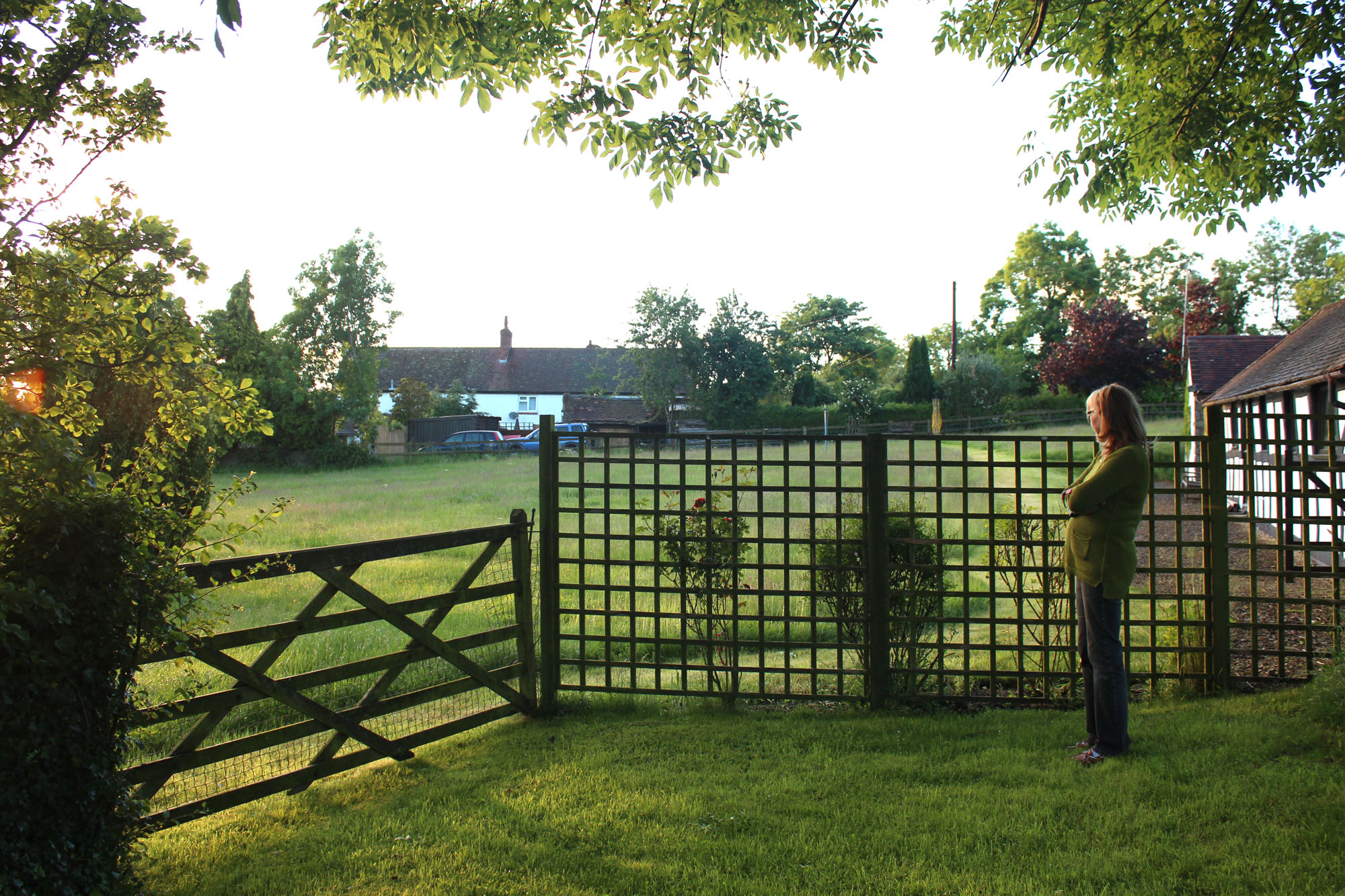 Creating a Secluded garden – My Shropshire Garden Blog